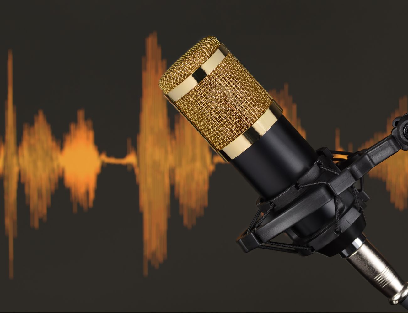 Portafolio de locución en audio - ISA LOZANO - Locutora profesional ...